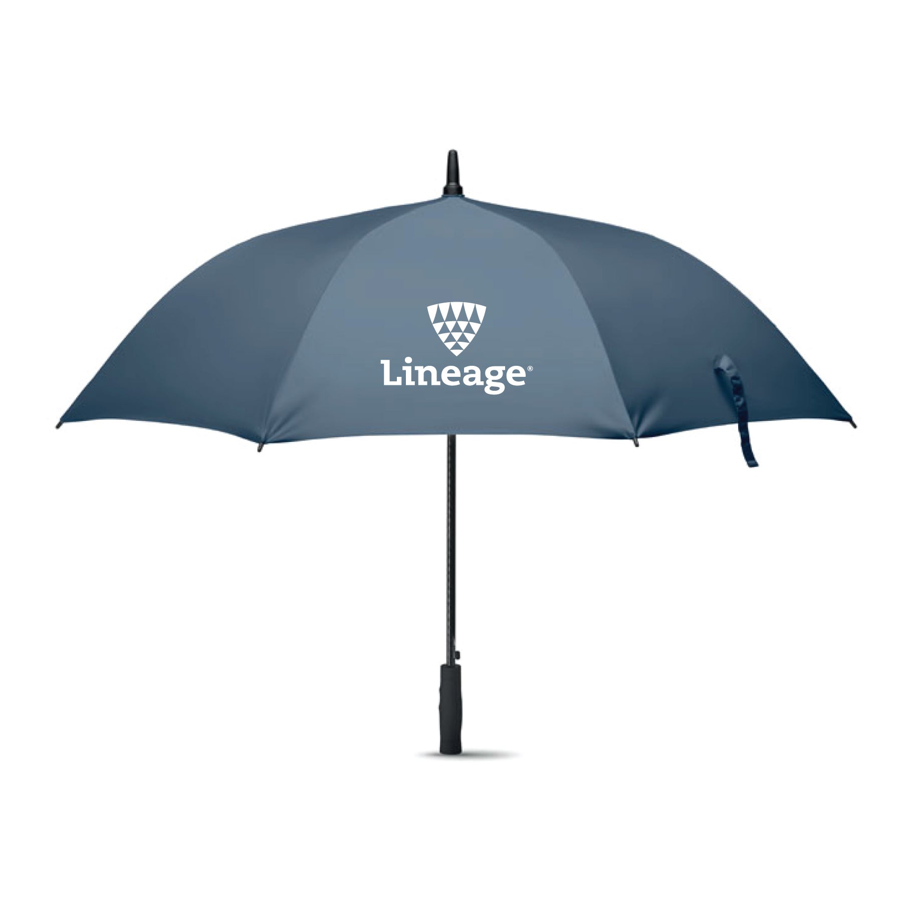 Umbrella – SWAG